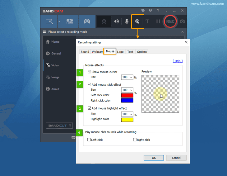 Bandicam Software Reviews, Demo & Pricing - 2026