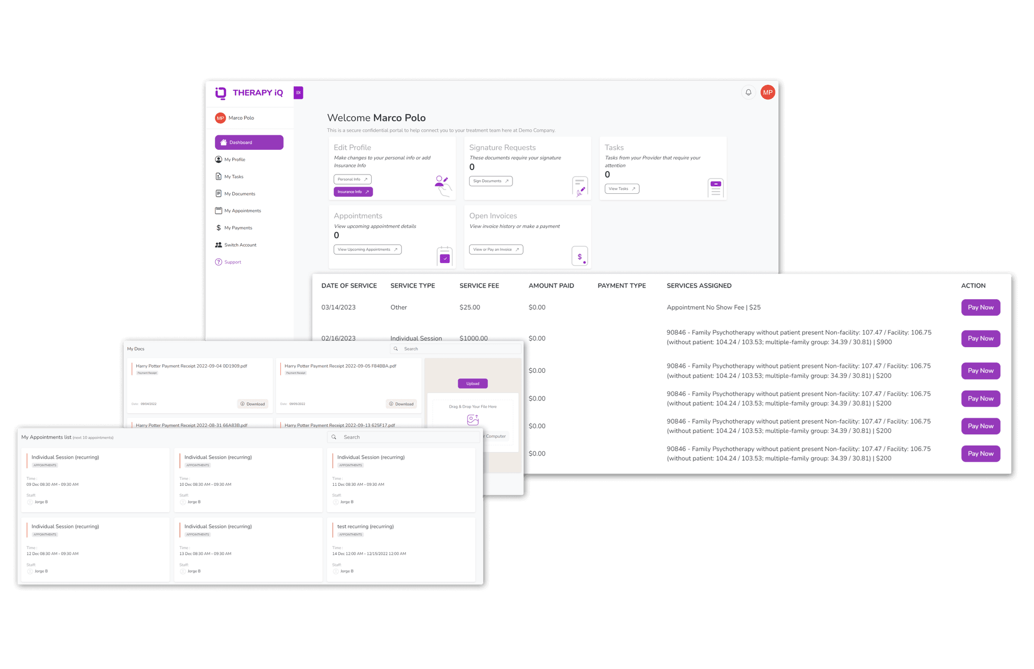 Therapy iQ Software Reviews, Demo & Pricing - 2026
